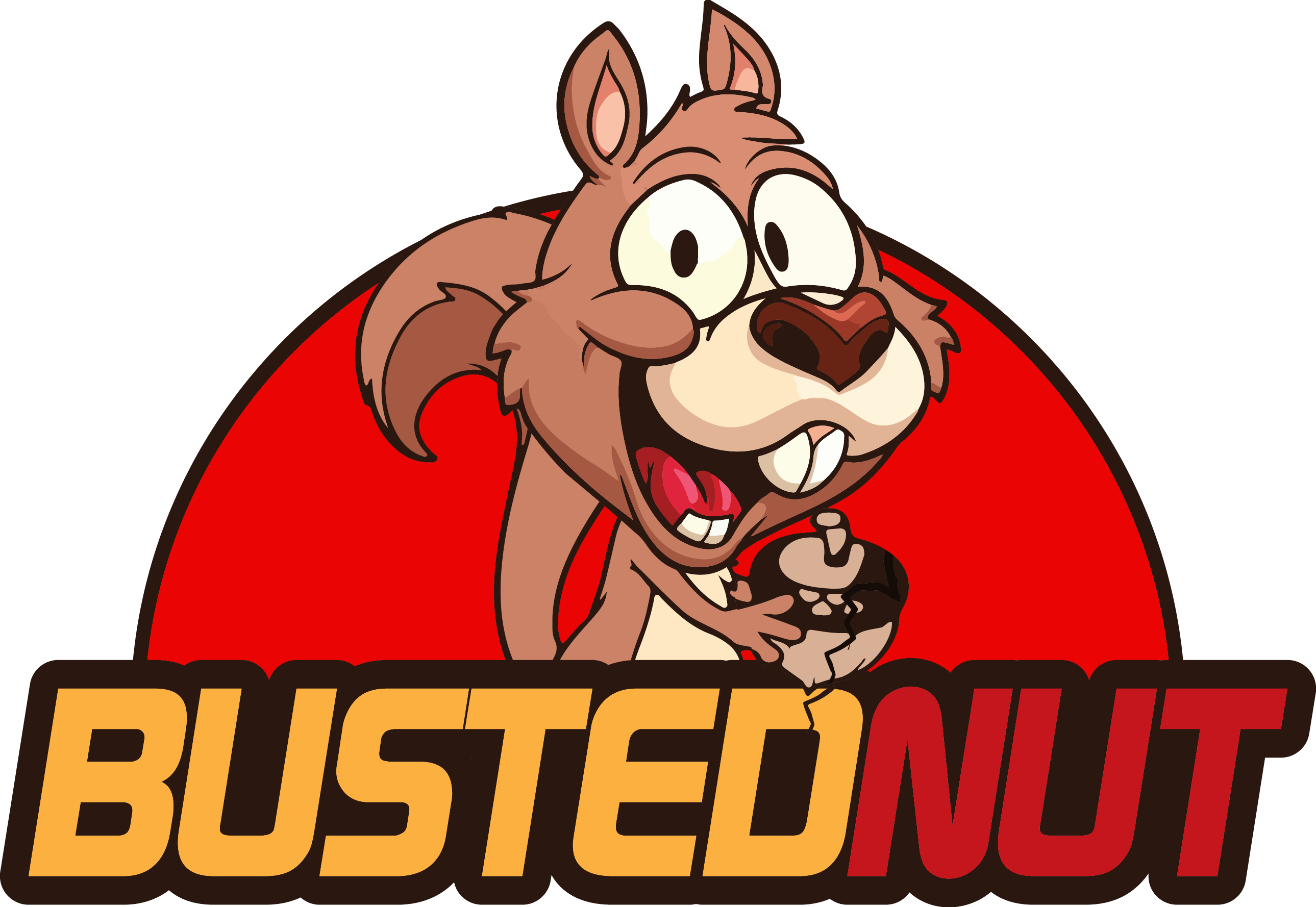 Busted Nut Seasoning | All-Purpose BBQ Rub & Spice Blend